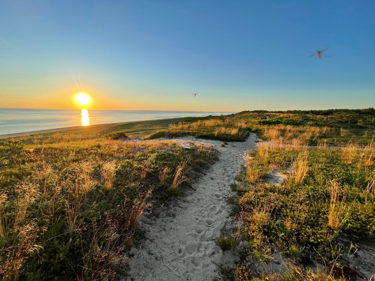 duck harbor – Field Guide: Walking & Painting on Cape Cod